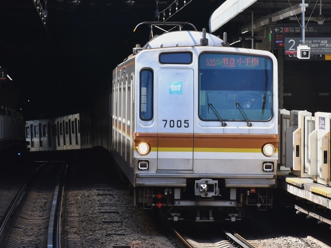 7000系 7105F の写真 |鉄道写真投稿サイトTrain-Directory