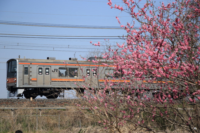 京葉車両センター 205系 ケヨM4編成 の写真 |鉄道写真投稿サイトTrain-Directory