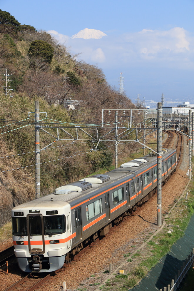 静岡車両区 313系 シスN6編成 の写真 |鉄道写真投稿サイトTrain-Directory