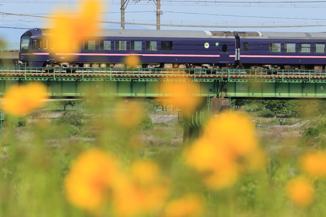 高崎車両センター本所 485系 タカTG02編成 の写真 |鉄道写真投稿サイトTrain-Directory