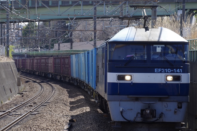 EF210 141 の写真 |鉄道写真投稿サイトTrain-Directory