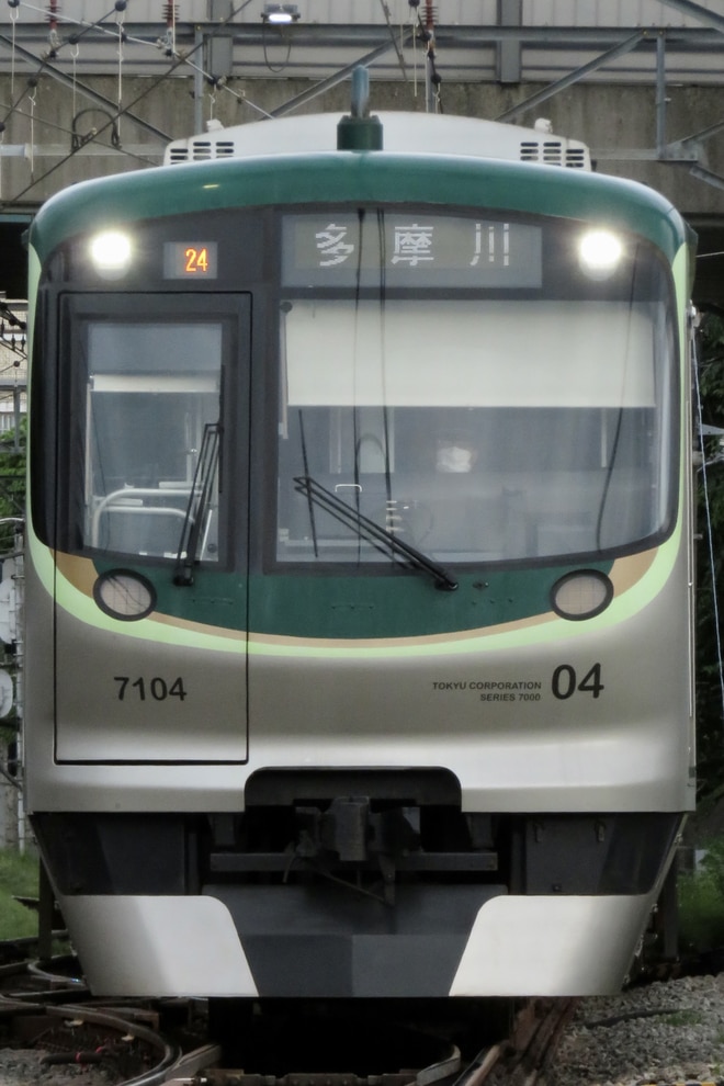 雪が谷検車区 7000系 7104F の写真 |鉄道写真投稿サイトTrain-Directory