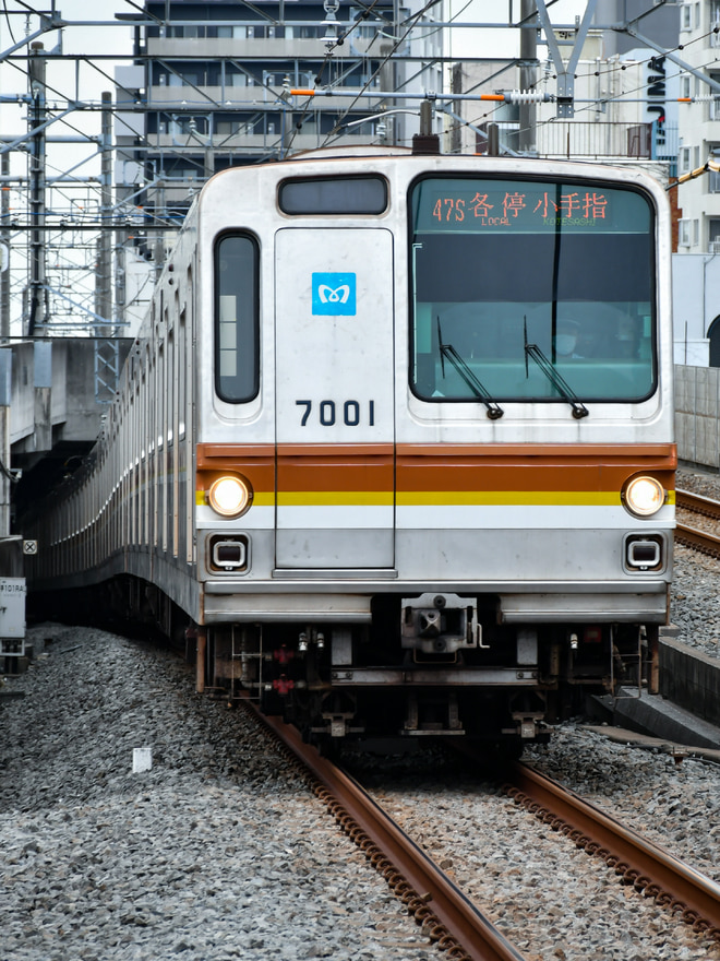 7000系 7101F の写真 |鉄道写真投稿サイトTrain-Directory