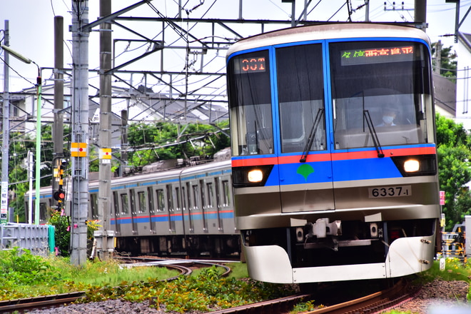 志村検車場 6300系 6337編成 の写真 |鉄道写真投稿サイトTrain-Directory