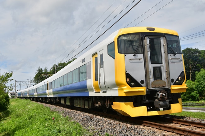 幕張車両センター E257系 マリNB-11編成 の写真 |鉄道写真投稿サイトTrain-Directory