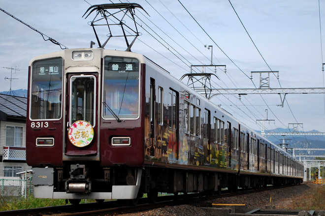 正雀車庫 8300系 8313F の写真 |鉄道写真投稿サイトTrain-Directory