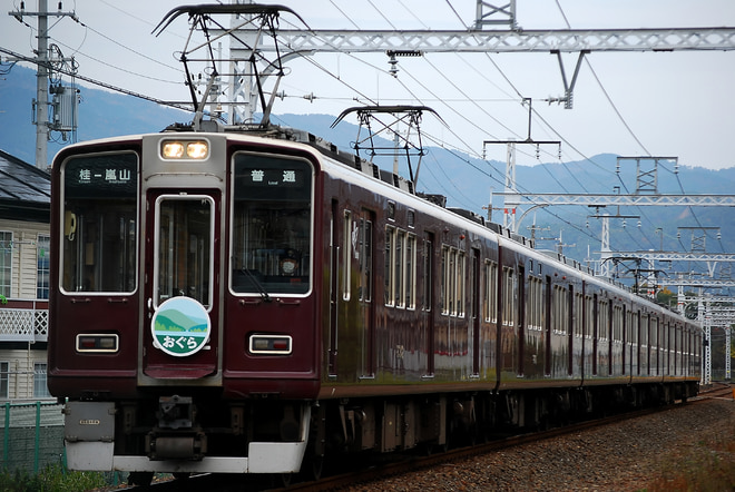 正雀車庫 8300系 8312F の写真 |鉄道写真投稿サイトTrain-Directory