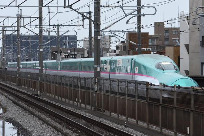 新幹線総合車両センター E5系 U22編成 の写真 |鉄道写真投稿サイトTrain-Directory
