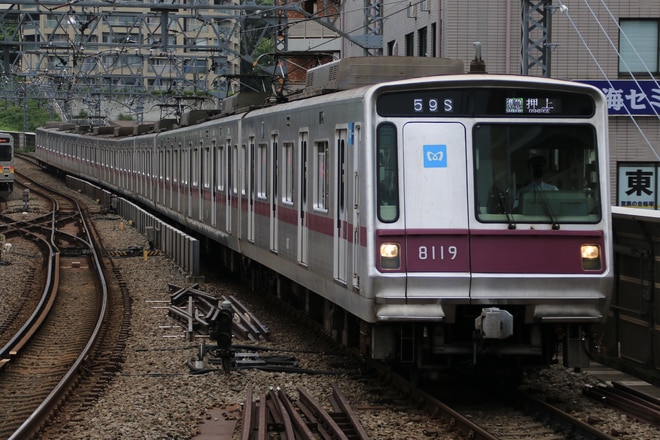 鷺沼検車区 8000系 8119F の写真 |鉄道写真投稿サイトTrain-Directory