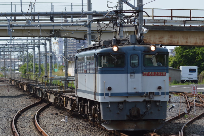 新鶴見機関区 EF65 2075 の写真 |鉄道写真投稿サイトTrain-Directory