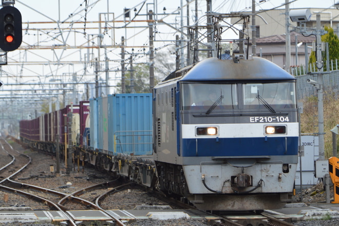 EF210 104 の写真 |鉄道写真投稿サイトTrain-Directory