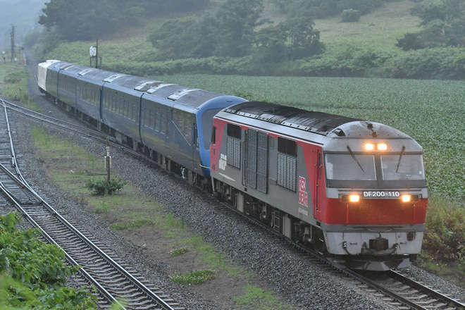DF200形 DF200-110 の写真 |鉄道写真投稿サイトTrain-Directory
