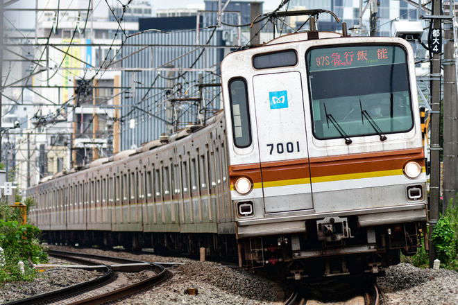 7000系 7101F の写真 |鉄道写真投稿サイトTrain-Directory