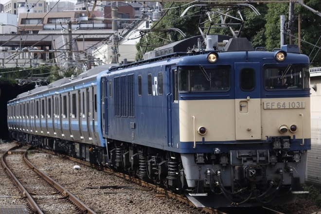 EF64 1031 の写真 |鉄道写真投稿サイトTrain-Directory