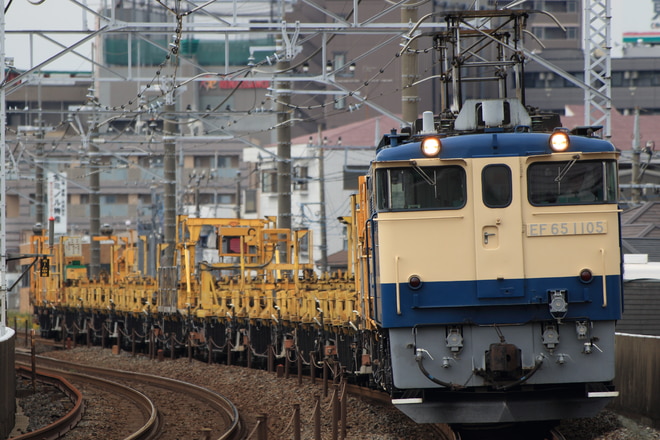田端運転所 EF65 1105 の写真 |鉄道写真投稿サイトTrain-Directory