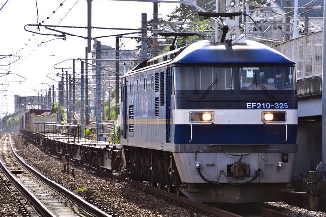 吹田機関区 EF210 325 の写真 |鉄道写真投稿サイトTrain-Directory