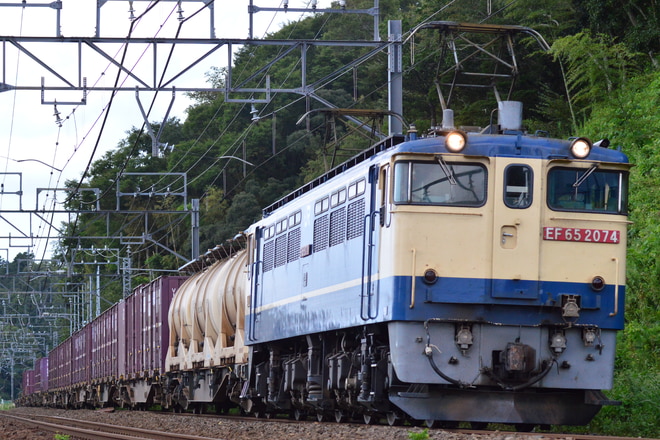 新鶴見機関区 EF65 2074 の写真 |鉄道写真投稿サイトTrain-Directory