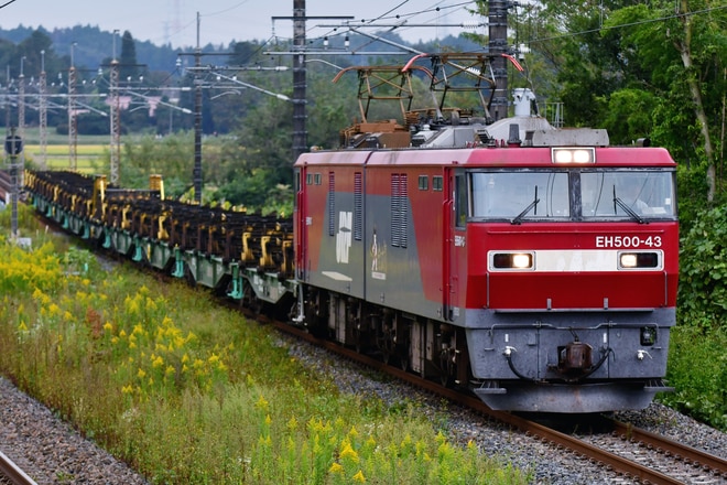 仙台総合鉄道部 EH500 43 の写真 |鉄道写真投稿サイトTrain-Directory