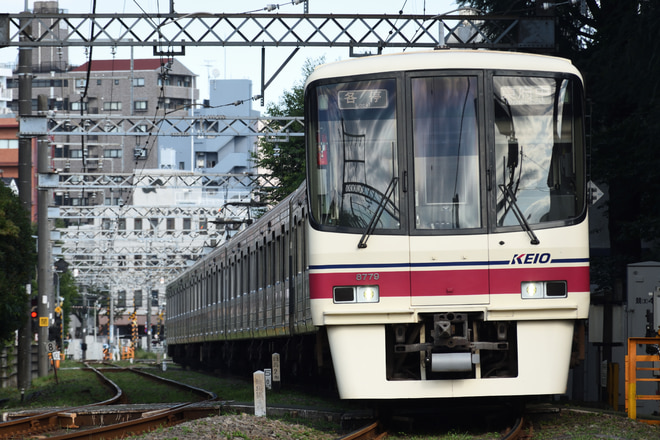 8000系 8729F の写真 |鉄道写真投稿サイトTrain-Directory