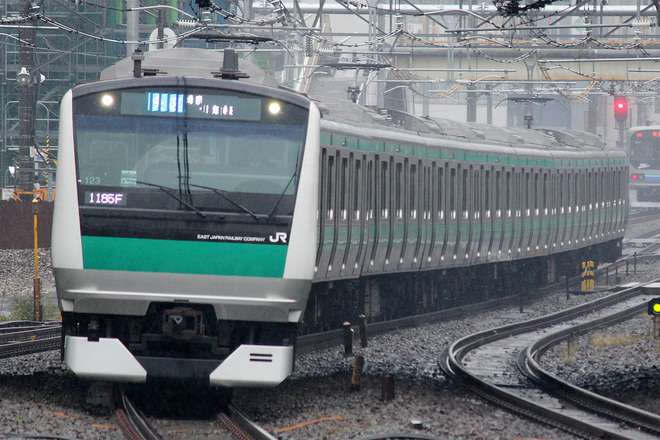 E233系 ハエ123編成 の写真 |鉄道写真投稿サイトTrain-Directory