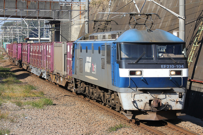EF210 104 の写真 |鉄道写真投稿サイトTrain-Directory