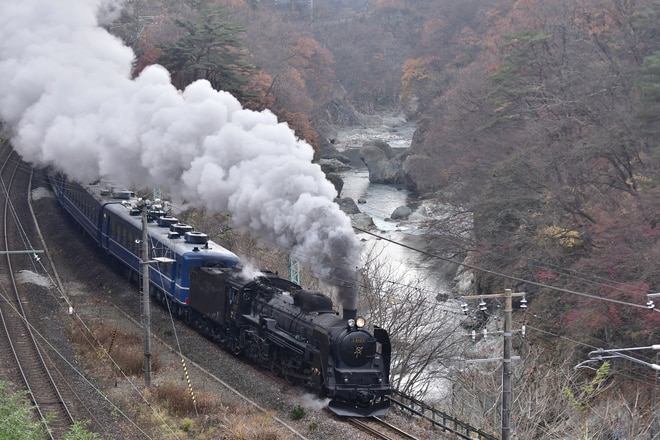 高崎車両センター高崎支所 C61 20 の写真 |鉄道写真投稿サイトTrain-Directory