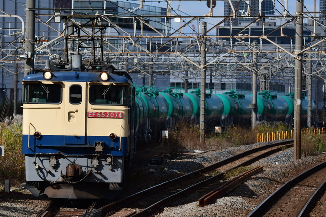 新鶴見機関区 EF65 2074 の写真 |鉄道写真投稿サイトTrain-Directory