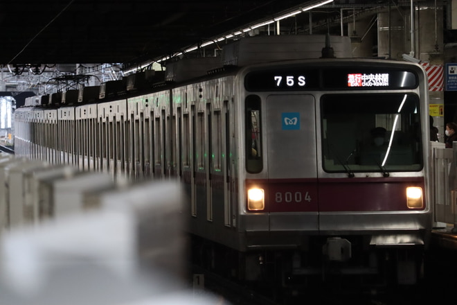 鷺沼検車区 8000系 8104F の写真 |鉄道写真投稿サイトTrain-Directory