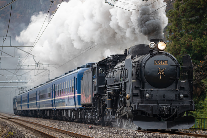 C61 20 の写真 |鉄道写真投稿サイトTrain-Directory