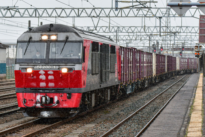 DF200 1 の写真 |鉄道写真投稿サイトTrain-Directory