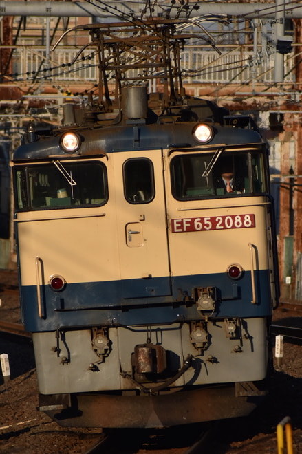 新鶴見機関区 EF65 2088 の写真 |鉄道写真投稿サイトTrain-Directory