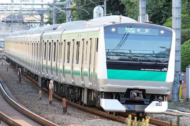 E233系 ハエ106編成 の写真 |鉄道写真投稿サイトTrain-Directory