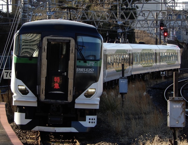 東大宮車両センター E257系5500番台 OM51編成 の写真 |鉄道写真投稿サイトTrain-Directory