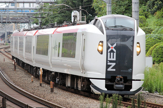 E259系 クラNe018編成 の写真 |鉄道写真投稿サイトTrain-Directory