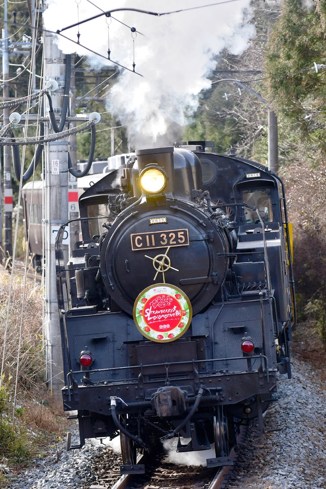 下今市機関区 C11 325 の写真 |鉄道写真投稿サイトTrain-Directory