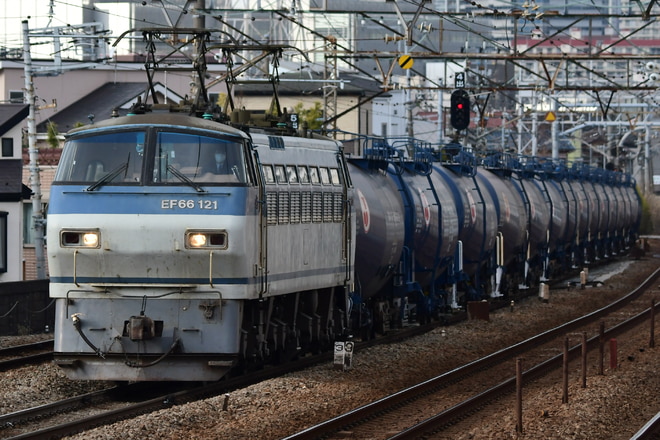 吹田機関区 EF66 121 の写真 |鉄道写真投稿サイトTrain-Directory