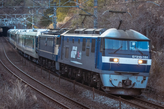 新鶴見機関区 EF210 151 の写真 |鉄道写真投稿サイトTrain-Directory