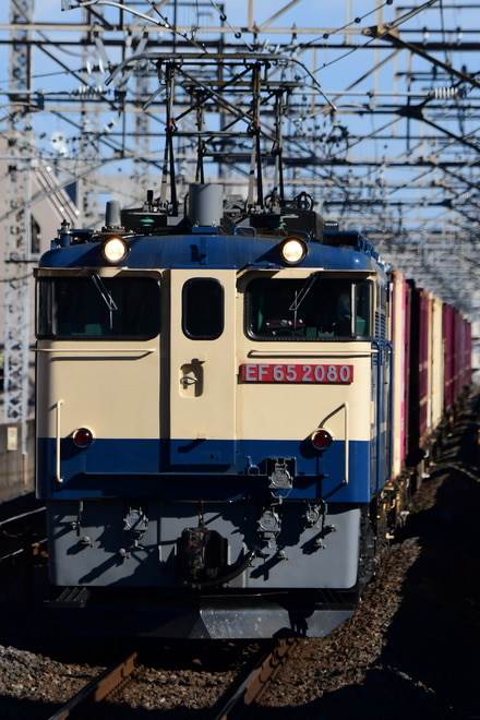 新鶴見機関区 EF65 2080 の写真 |鉄道写真投稿サイトTrain-Directory