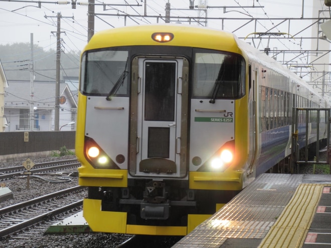 E257系 の写真 |鉄道写真投稿サイトTrain-Directory