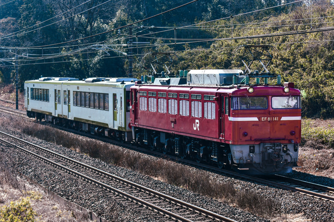 長岡車両センター EF81 141 の写真 |鉄道写真投稿サイトTrain-Directory