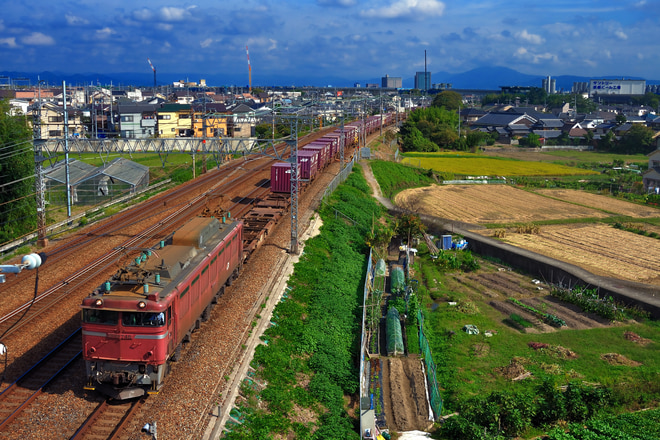 富山機関区 EF81 748 の写真 |鉄道写真投稿サイトTrain-Directory