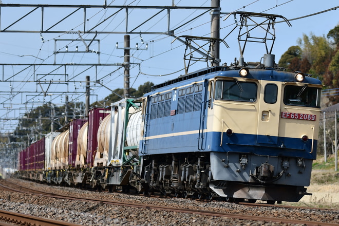 新鶴見機関区 EF65 2089 の写真 |鉄道写真投稿サイトTrain-Directory