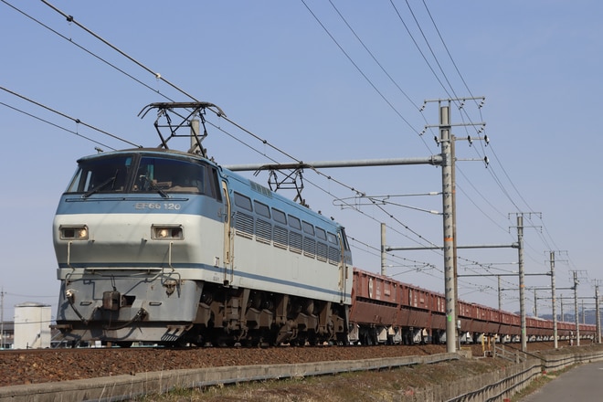 ef66 の写真 |鉄道写真投稿サイトTrain-Directory