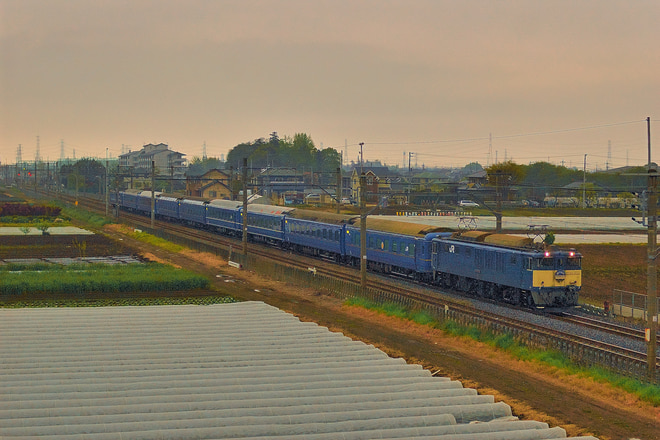 青森車両センター EF64 1052 の写真 |鉄道写真投稿サイトTrain-Directory