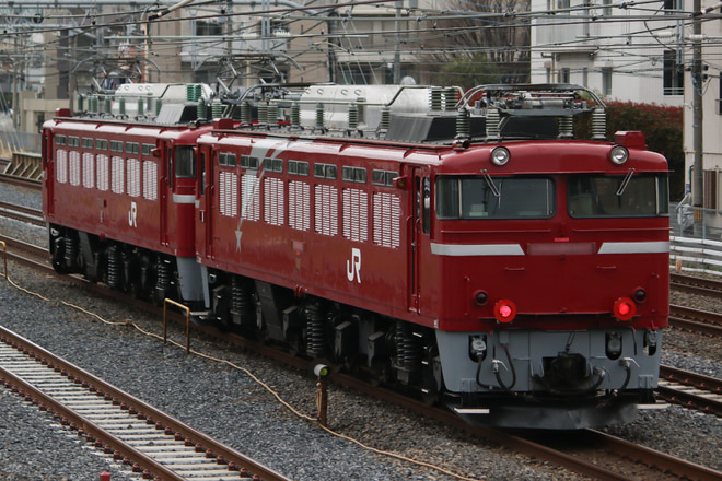 田端運転所 EF81 133 の写真 |鉄道写真投稿サイトTrain-Directory