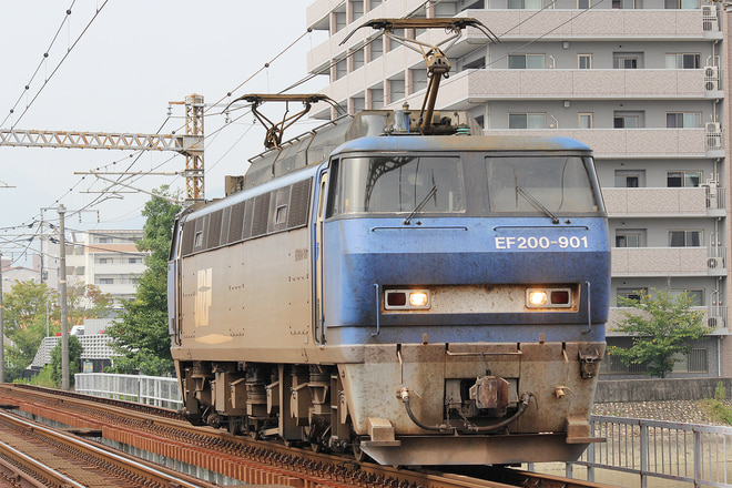 EF200 901 の写真 |鉄道写真投稿サイトTrain-Directory