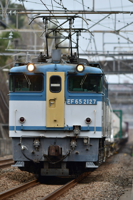 新鶴見機関区 EF65 2127 の写真 |鉄道写真投稿サイトTrain-Directory