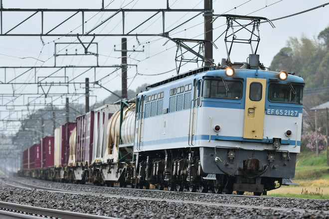 新鶴見機関区 EF65 2127 の写真 |鉄道写真投稿サイトTrain-Directory