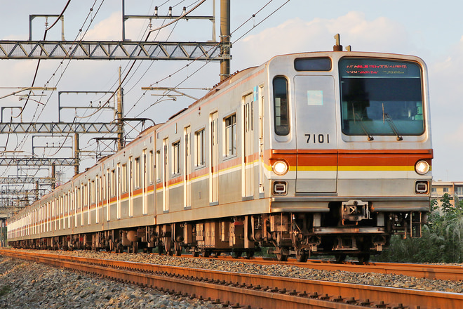 7000系 7101F の写真 |鉄道写真投稿サイトTrain-Directory