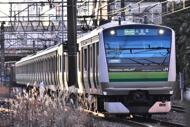 鎌倉車両センター本所 E233系 H005編成 の写真 |鉄道写真投稿サイトTrain-Directory